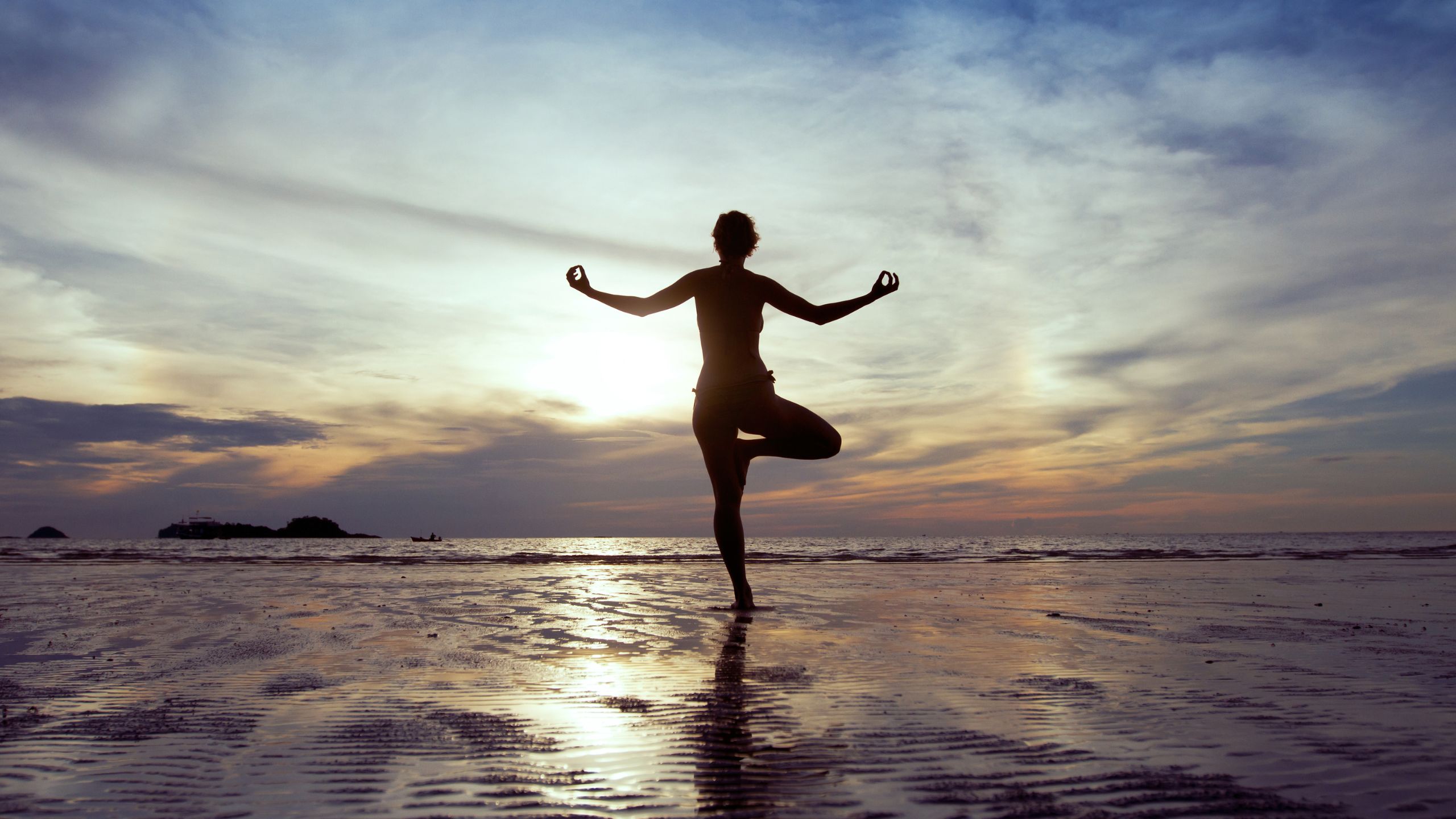 What Is Masculine And Feminine Energy Loomi Wellness Co